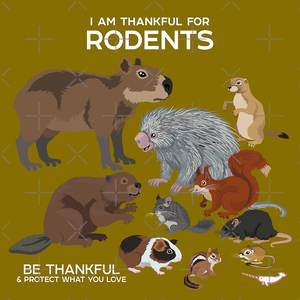 "I Am Thankful For Rodents" by PepomintNarwhal | Redbubble