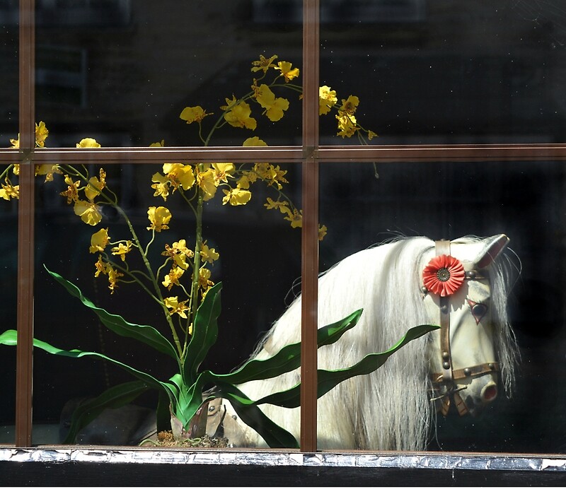 "Still Life With Hobby Horse" by Alexandra Lavizzari | Redbubble