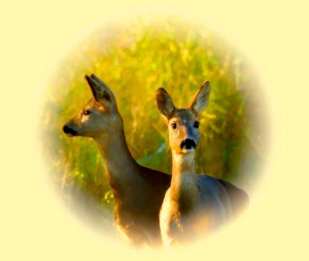 "Doe" by Guardi71 | Redbubble