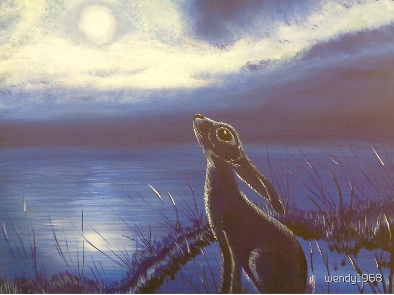 "moon gazing hare" by wendy1968 | Redbubble