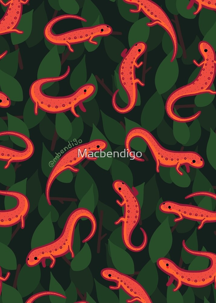 "Red Eft " by Macbendigo | Redbubble
