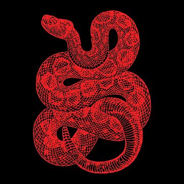 "Red Rattlesnake Engraving gift for Snake Owner" Art Print for Sale by ...