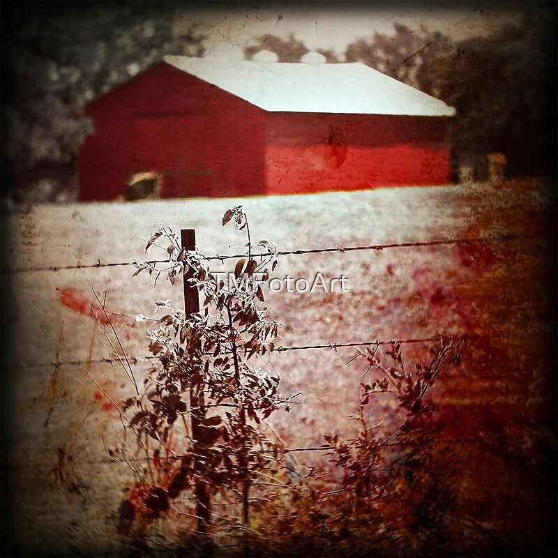 "Murder in the Red Barn" by Trish Mistric | Redbubble