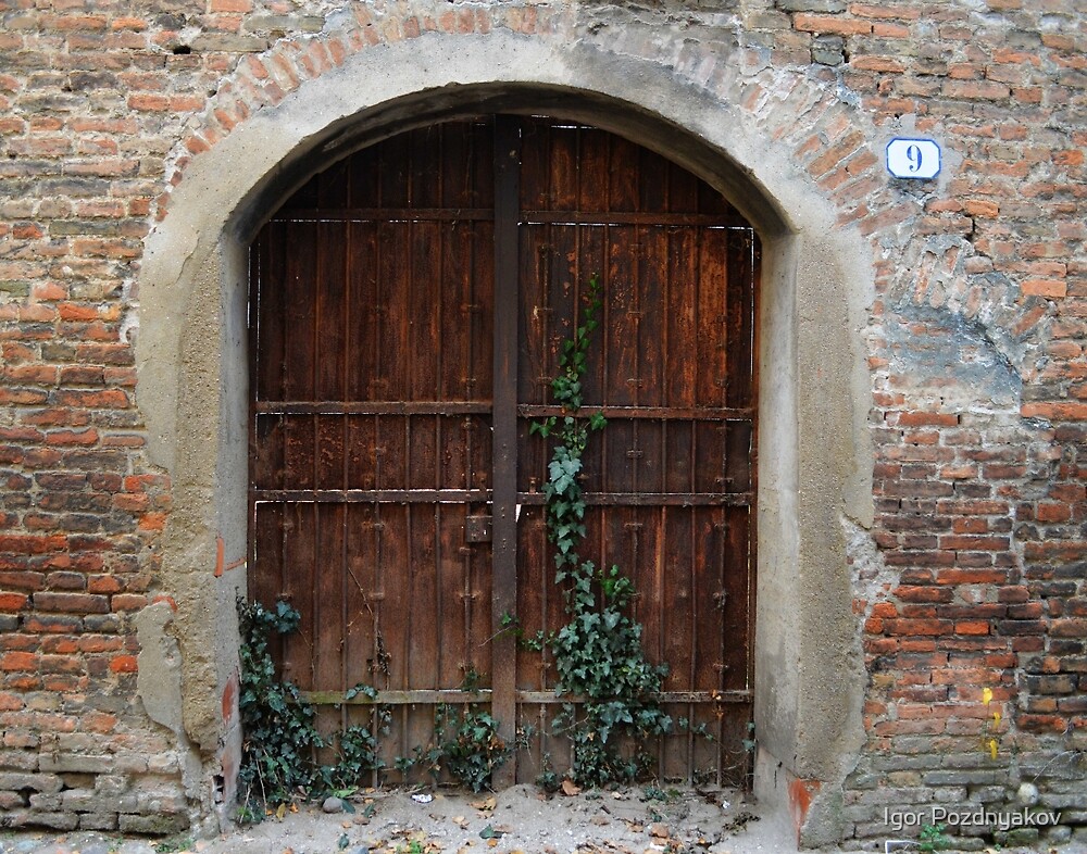 "A Gate in Mantua, Italy" by Igor Pozdnyakov | Redbubble