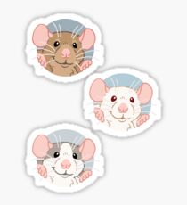 Rats Gifts & Merchandise | Redbubble