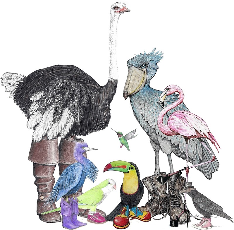 "Birds in shoes" by JimsBirds | Redbubble