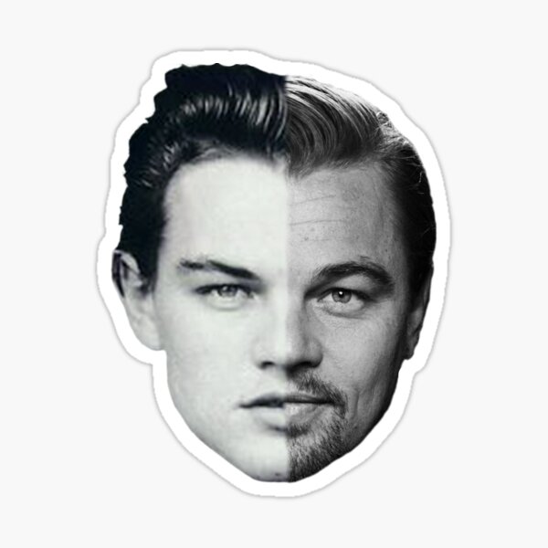 Young Leonardo Dicaprio Stickers | Redbubble