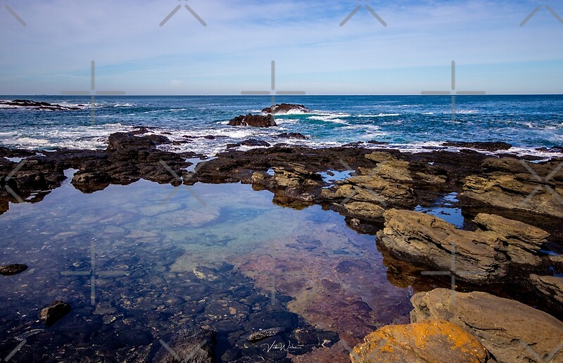 "Flinders Blowhole Rock Pool, Mornington Peninsula, Victoria, Australia ...