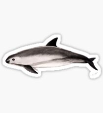 Vaquita Stickers | Redbubble