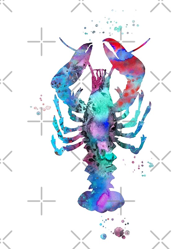 "Lobster" by Rosaliartbook | Redbubble