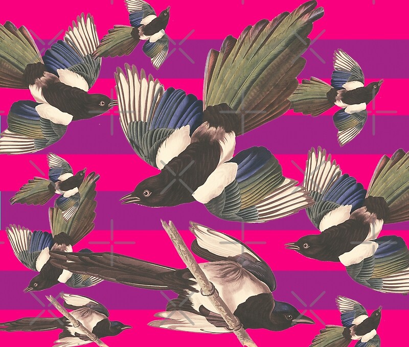 "cheeky magpies claw, beautiful flying birds, pink striped pattern" by ...