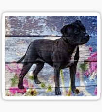Staffy: Stickers | Redbubble