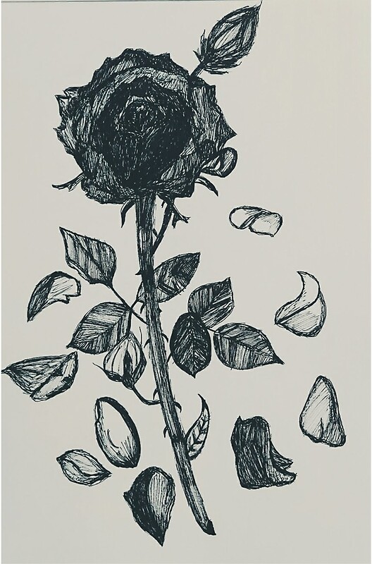 "Black Rose Drawing" by PerivoliTees | Redbubble