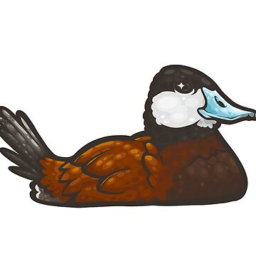 "Ruddy Duck" Sticker for Sale by Eambo's Cave | Redbubble