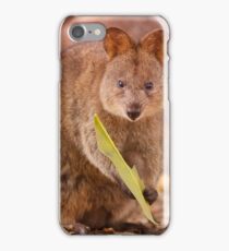 Quokka: Gifts & Merchandise | Redbubble