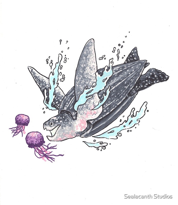 "Leatherback Sea Turtle" by Sealacanth Studios | Redbubble