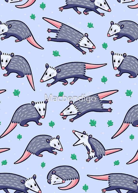 "Opossum Pattern 2" by Macbendigo | Redbubble