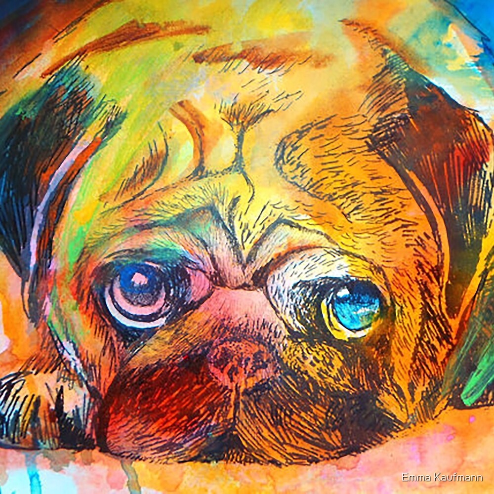 "Mr Pug Pop Art " by Emma Kaufmann | Redbubble