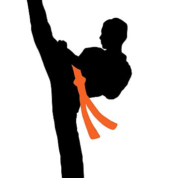 "Karate Tae Kwon Do Boy Orange Belt Kick" Sticker for Sale by ...
