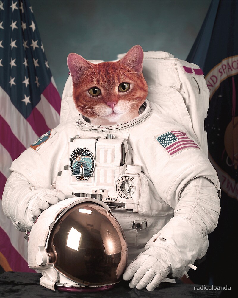 "Astro Cat" by radicalpanda | Redbubble