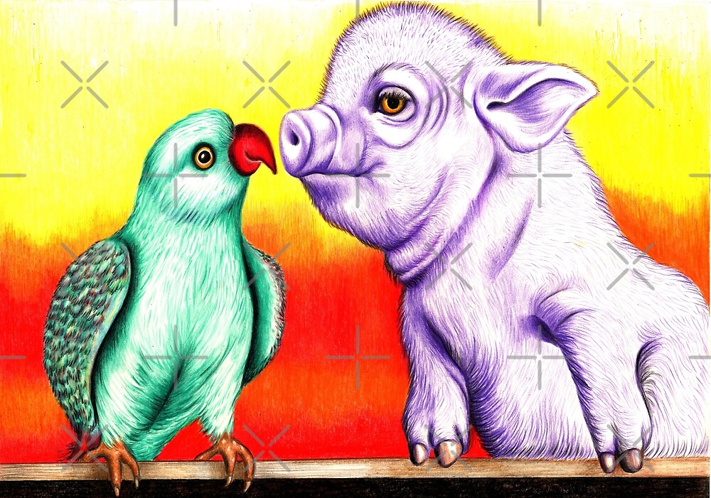 "Pig 'n' Parrot" by Margaret Sanderson | Redbubble
