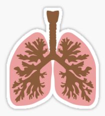 Lungs: Stickers | Redbubble