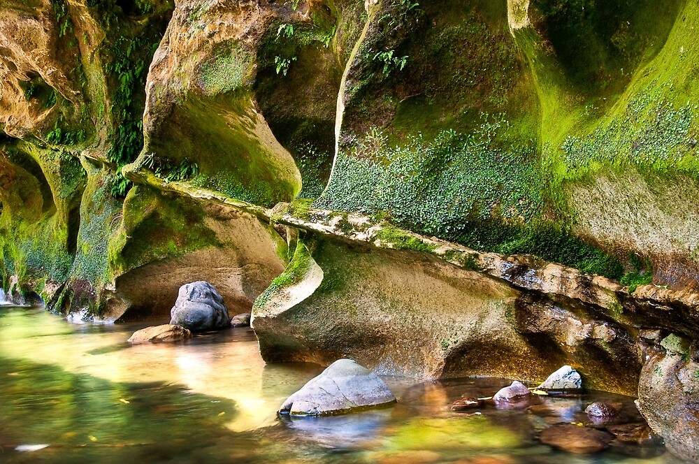 "Patuna Gorge | Masterton" by Olwen Evans | Redbubble