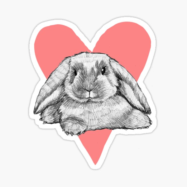 Rabbit Stickers | Redbubble