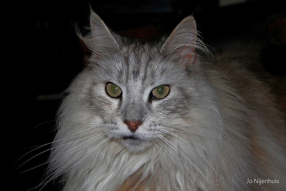 "Miss Mogy" by Jo Nijenhuis | Redbubble