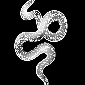 "Snake Reputation " Poster for Sale by VisheshDahiya | Redbubble