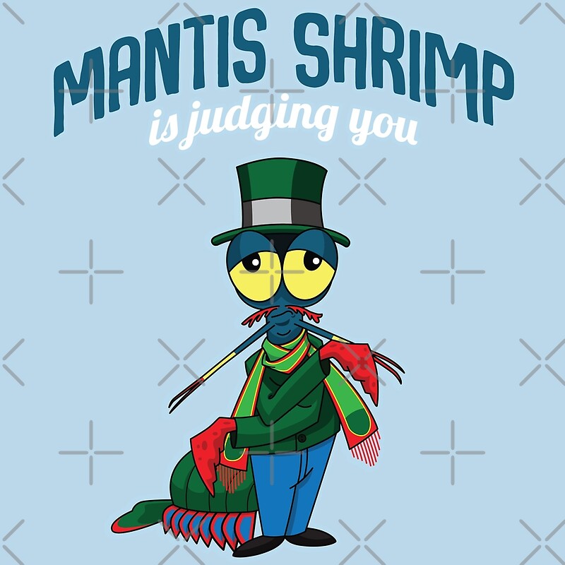 "Mantis shrimp is judging you" by Chimera-Designs | Redbubble