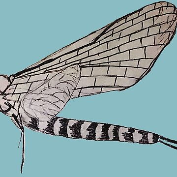 "mayfly" Sticker for Sale by in2thewild | Redbubble