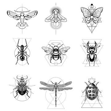 "lot of insects line drawing geometric mix nature fauna tiny magical ...