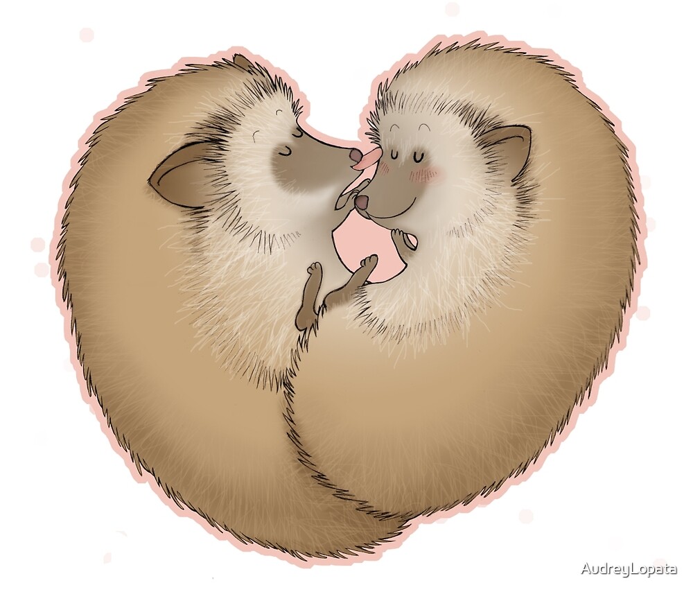 "Hedgehog Love" by AudreyLopata | Redbubble