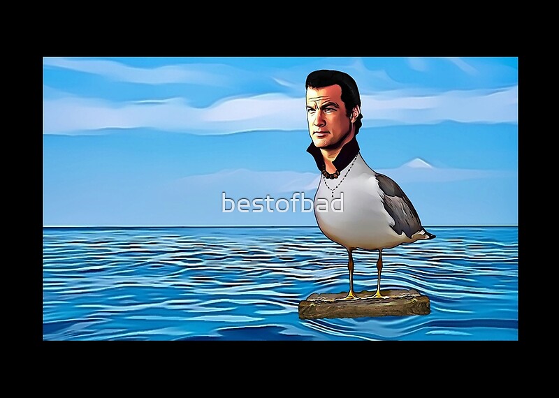 "Steven Seagull at Sea" by bestofbad | Redbubble
