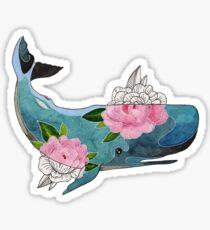 Whale: Stickers | Redbubble