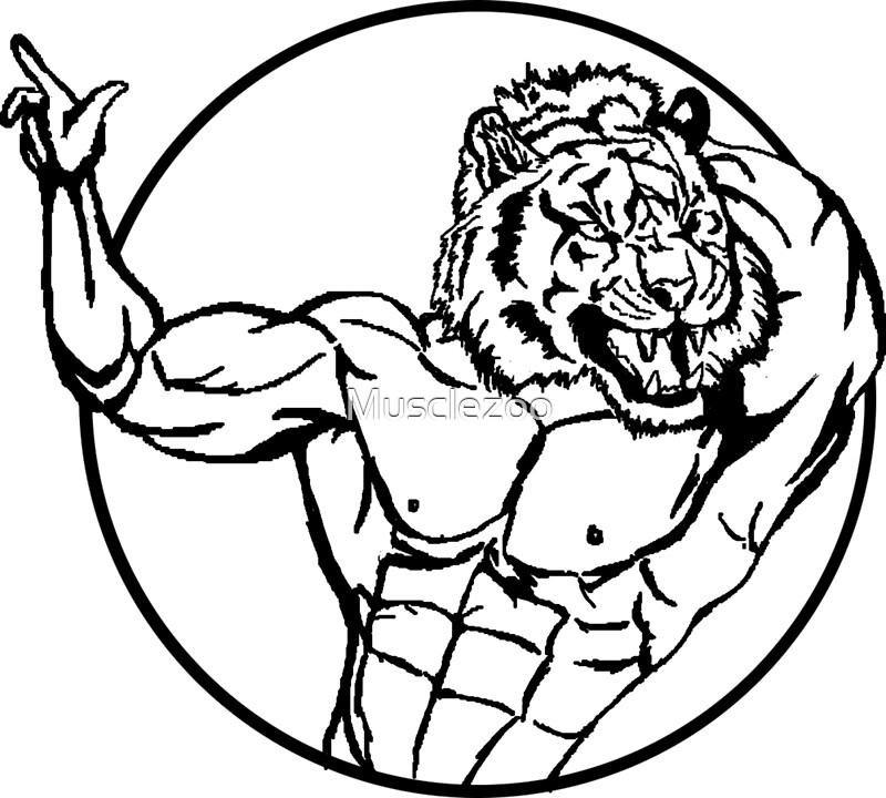 "Muscle Zoo Bengal Tiger" by Musclezoo | Redbubble