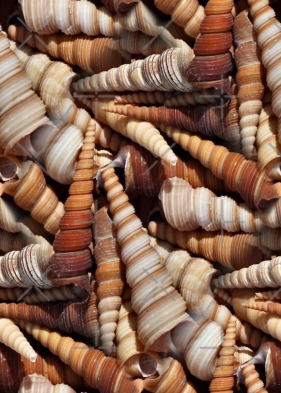 "Turret Shells (pattern)" by Yampimon | Redbubble