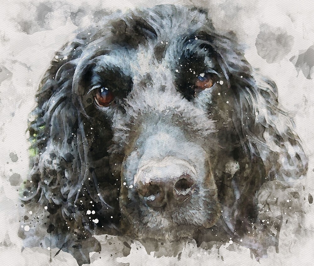 "Cocker Spaniel dog watercolour digital portrait" by Gerald Waters ...