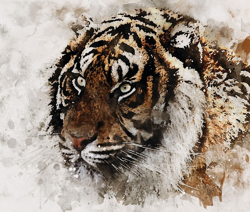 "Tiger watercolour digital portrait" by Gerald Waters | Redbubble