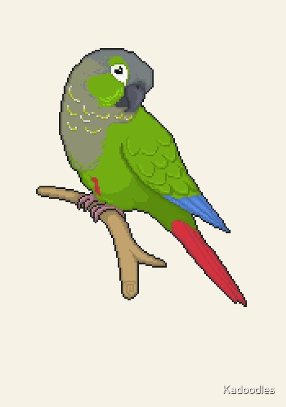 "Pixel / 8-bit Parrot: Green-cheek Conure" by Kadoodles | Redbubble