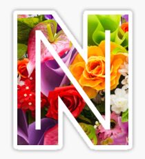 Letter N: Stickers | Redbubble