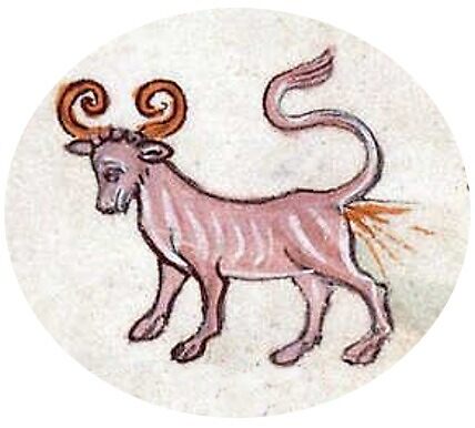 "Medieval Bonnacon Goat Farting" by interaubis | Redbubble