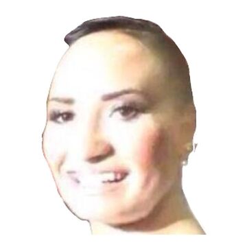 "Poot Lovato (Demi Lovato Meme) " Sticker for Sale by Theninjasbro ...