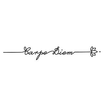 "Carpe diem cursive" Poster for Sale by adesignworld | Redbubble