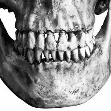 Sticker for Sale mit "SKELETON JAW" von carlarmes | Redbubble