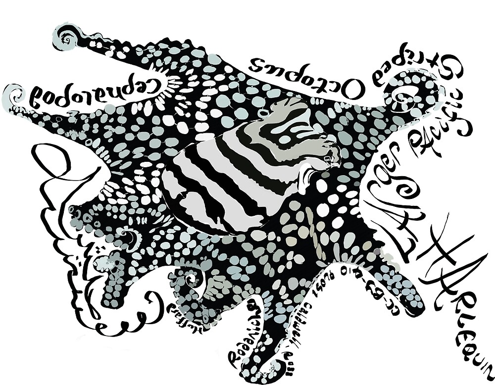 "Gregarious Octopus, LPSO" by michdevilish | Redbubble