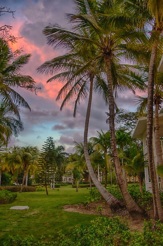 "Riu Merengue Sunset" by Adam Northam | Redbubble