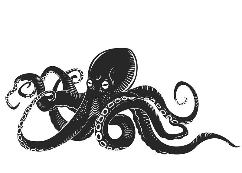 "Octopus slap 8 people" by ValiantSloth | Redbubble