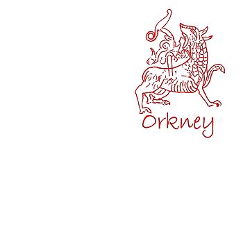 "Maeshowe Dragon Orkney" Essential T-Shirt for Sale by Kye Valongo ...
